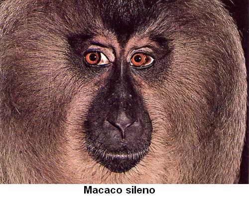 CIENCIA INTERESANTE - INICIO